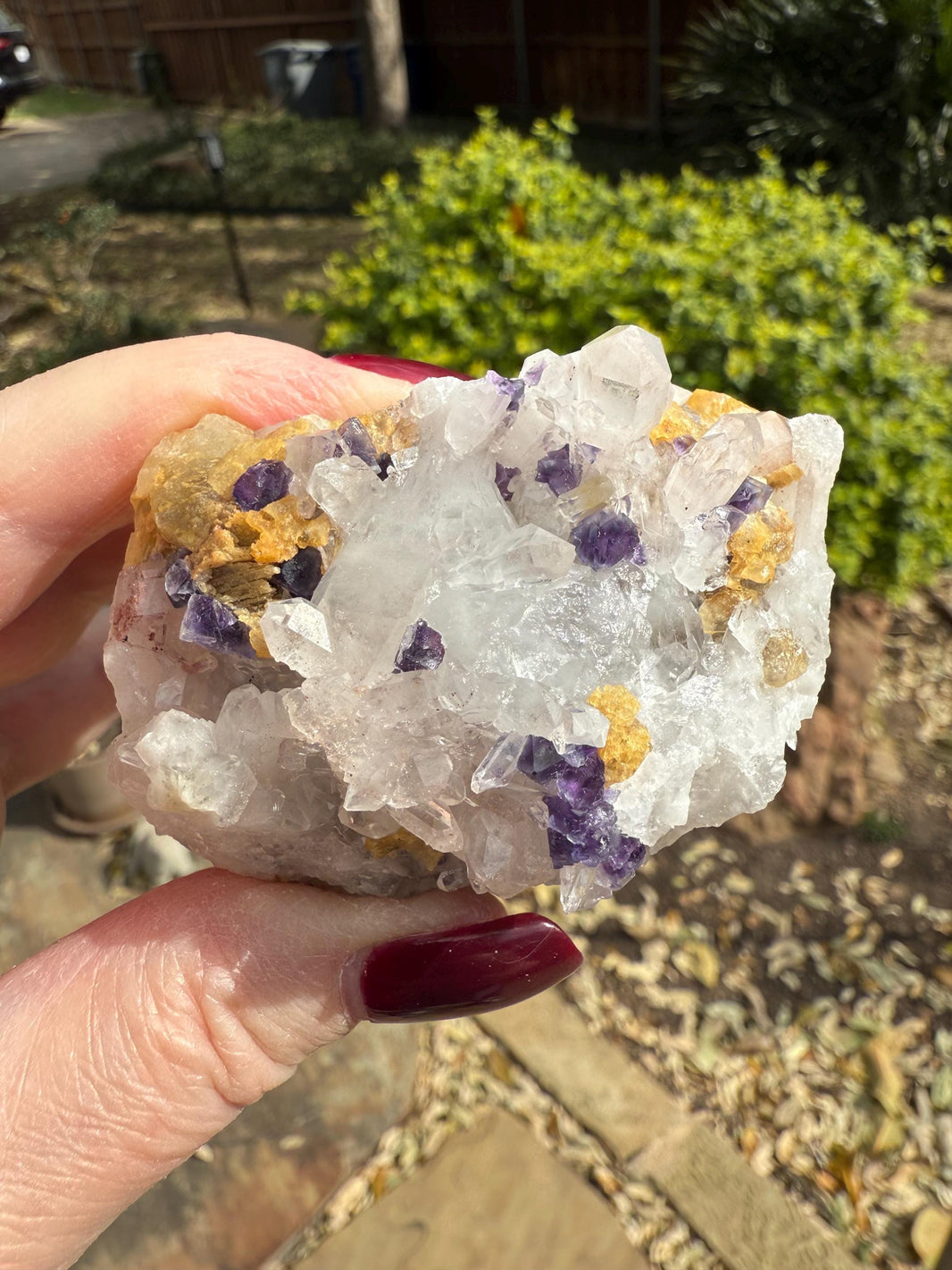 New Arrivals – Tina Leonard Healing